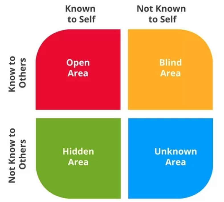 Johari Windows – Shevek Pring